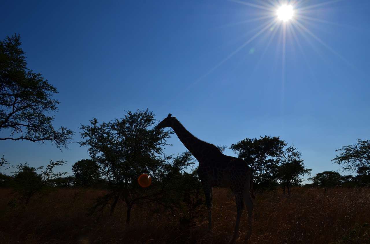 Zimbabwe and its natural wonders - CelestialVoyagers